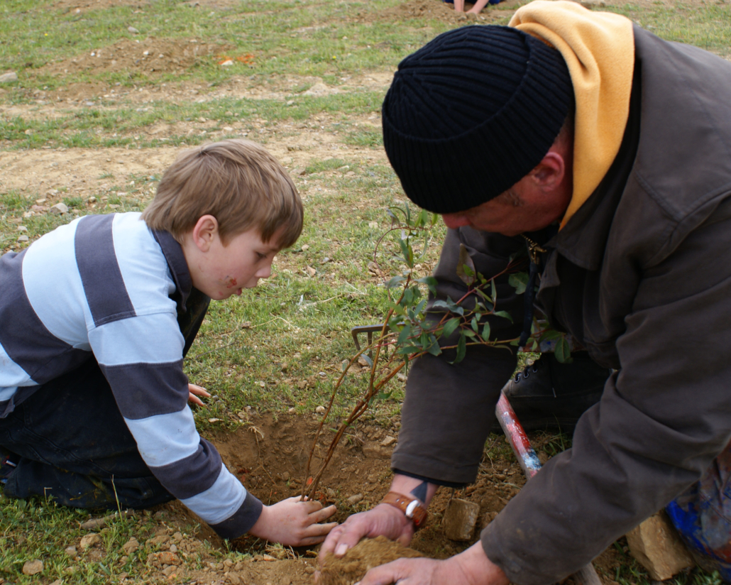 PLANTING of 100 TREES UNEP Billion Tree Campaign / Gassin - AEA Monaco